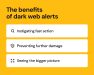 Dark Web Alert: What It Means And What To Do Next
