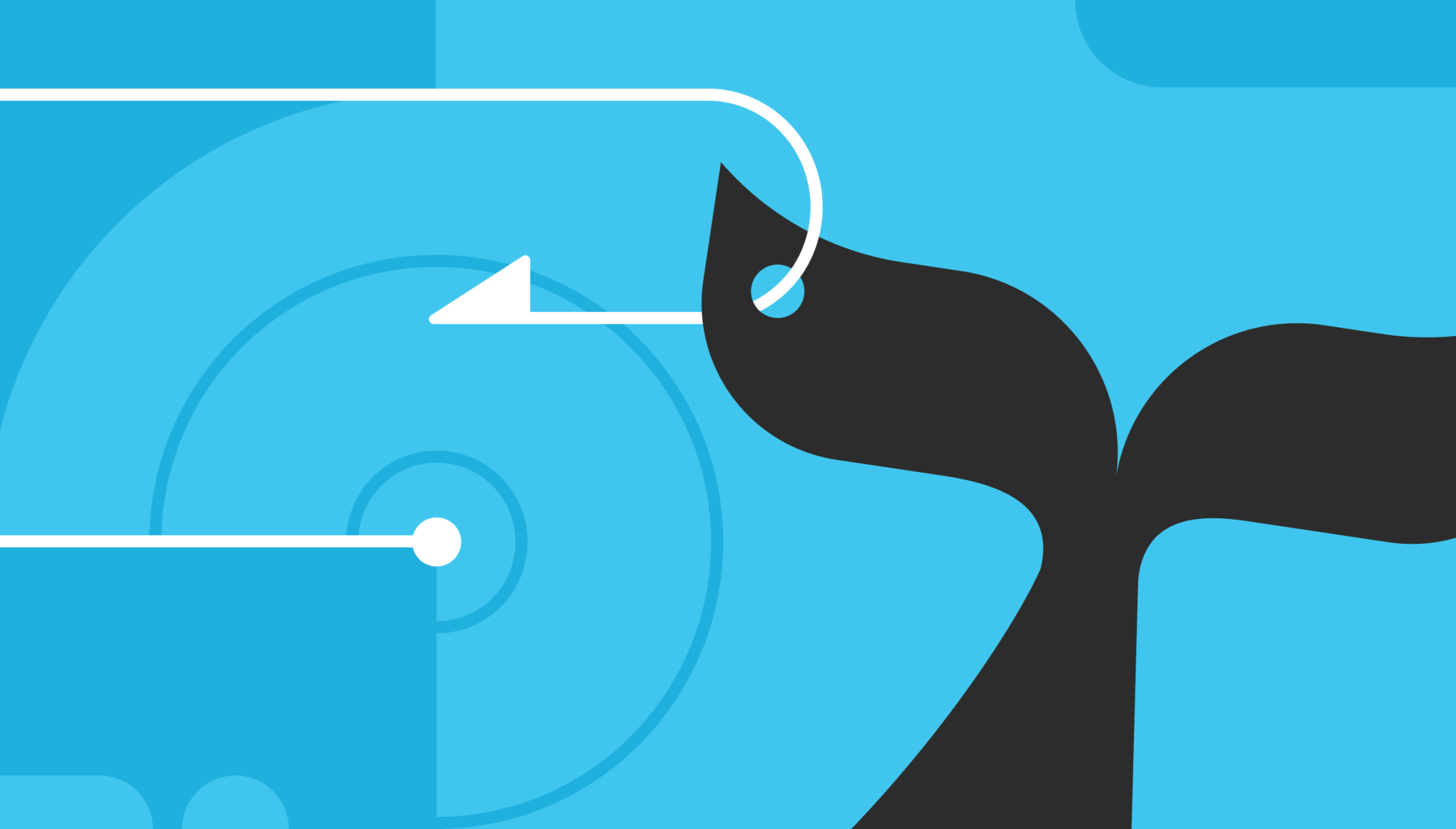 Whaling Attack (whaling Phishing): What It Is And How It Works